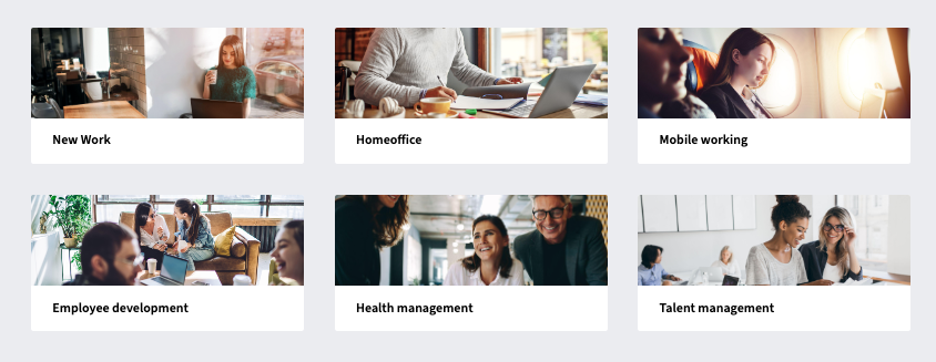 Teaser Widget – Haiilo Support Center
