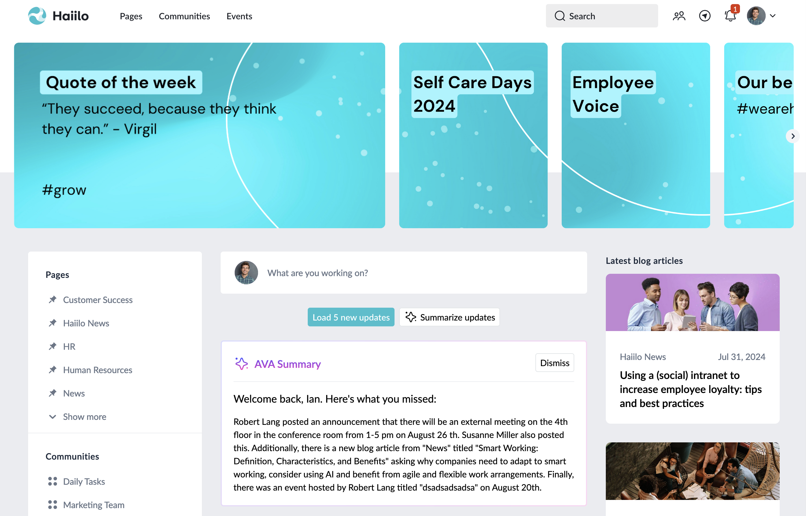 Using AVA Summary – Haiilo Support Center