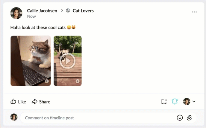 Which content elements on the platform support GIFs? – Haiilo Support ...